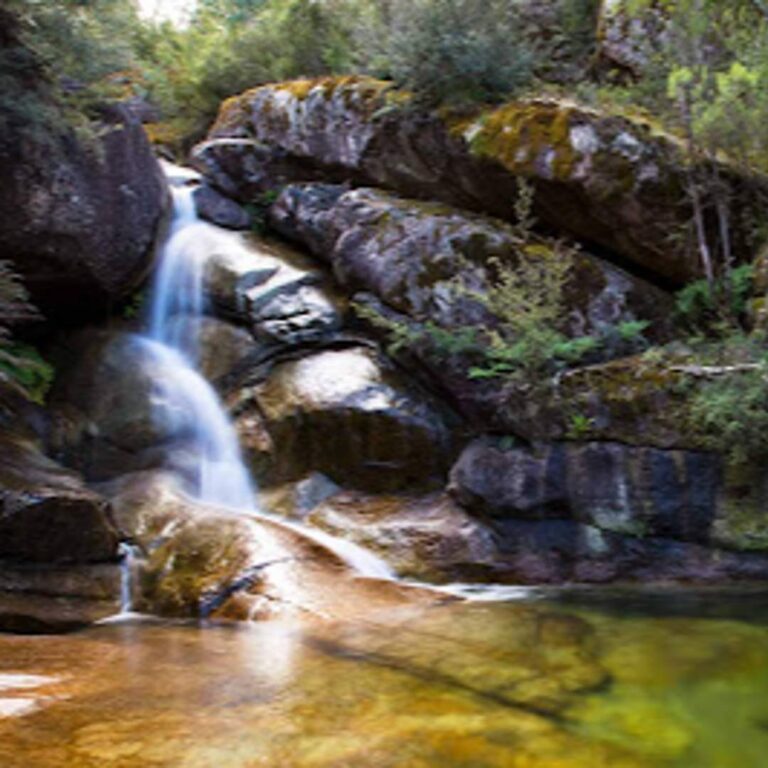 Feathertop Winery: The Ultimate Winery Venue in Victoria | mellyrain.com.au
