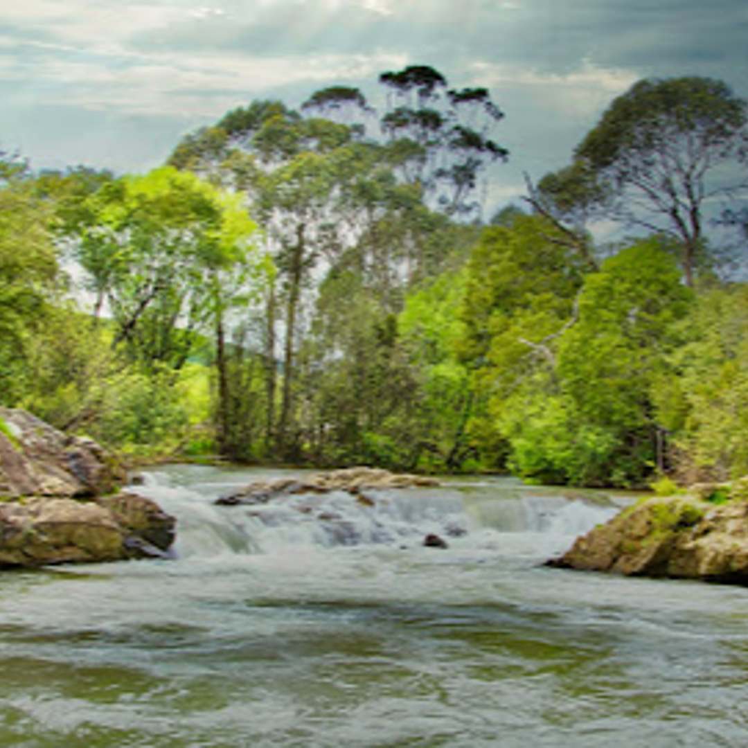 Feathertop Winery: The Ultimate Winery Venue in Victoria | mellyrain.com.au